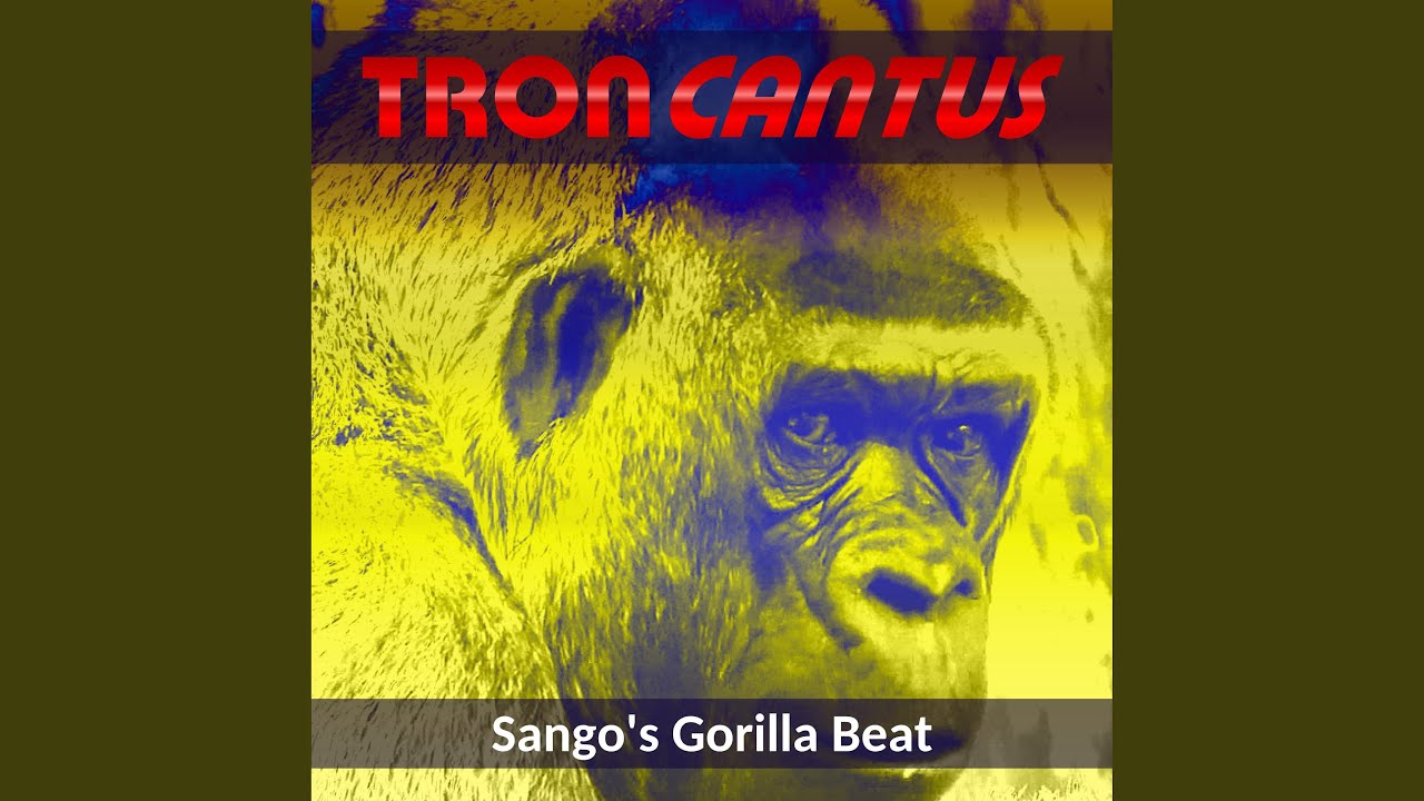 Sango's Gorilla Beat - YouTube