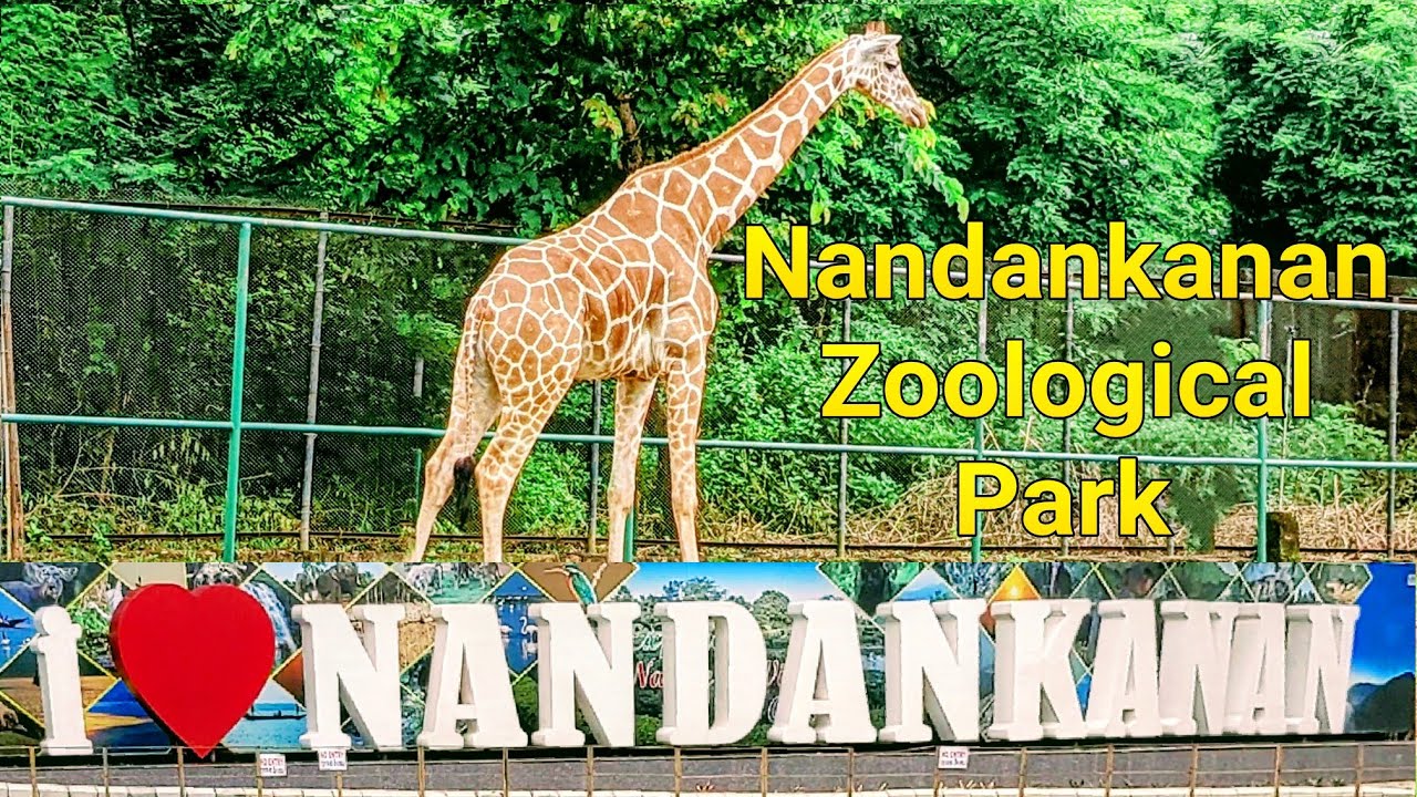 Nandankanan Zoological Park l BHUBANESWAR | #nandankanan - YouTube