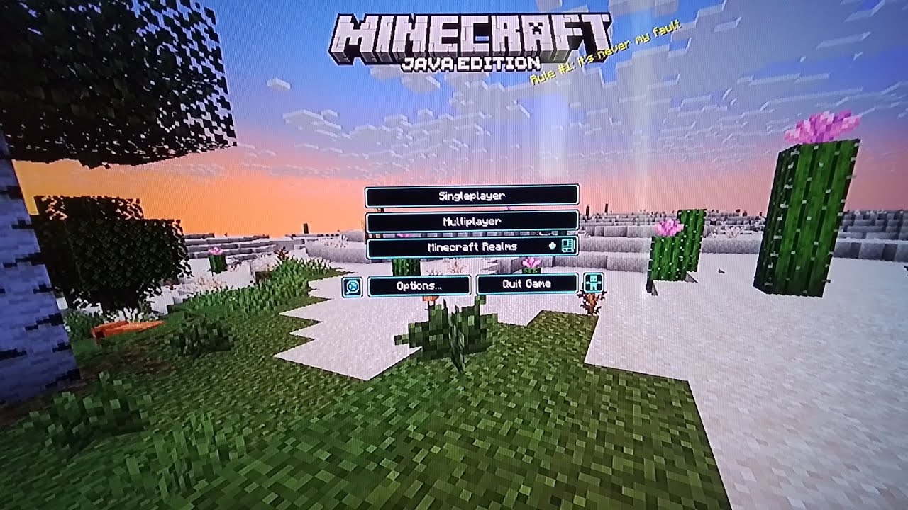 Playing on random minecraft servers with meteor client - YouTube