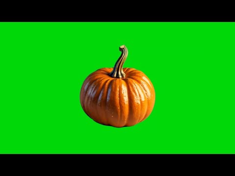 Realistic pumpkin isolated On Green Screen Background Animation Video ...