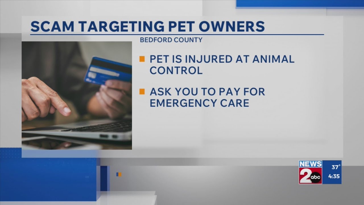 Scam targets pet owners in Bedford County, TN - YouTube