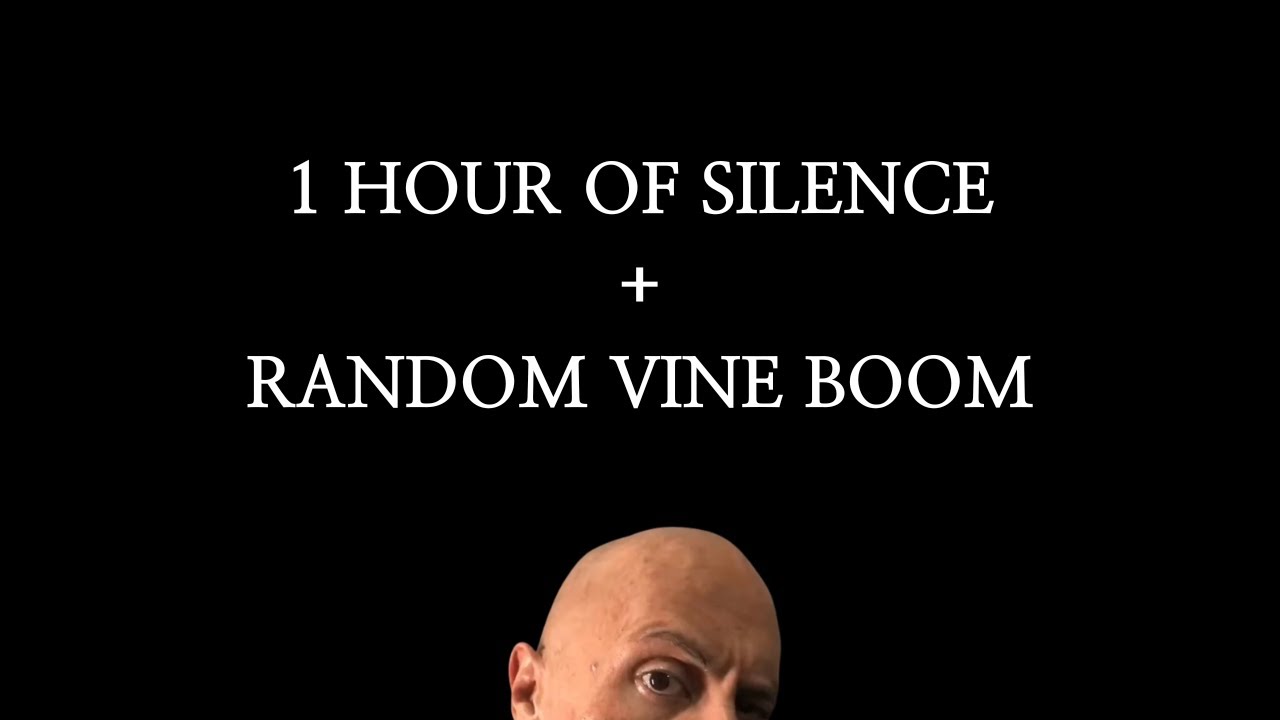 1 Hour of Silence with random vine booms - YouTube