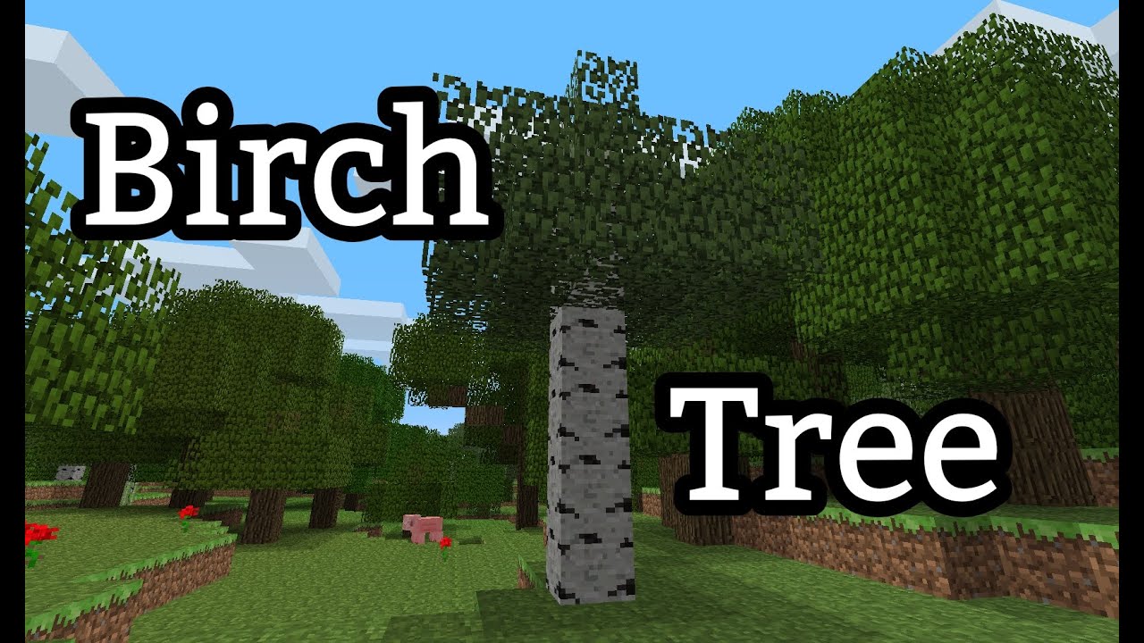How To Build a Birch Tree - YouTube