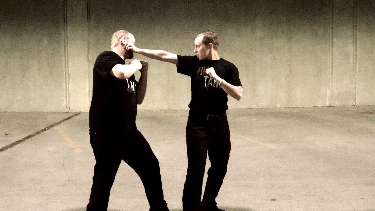 Kick To Spinning Punch Combo For The Street │ Side Kick To Back Fist ...