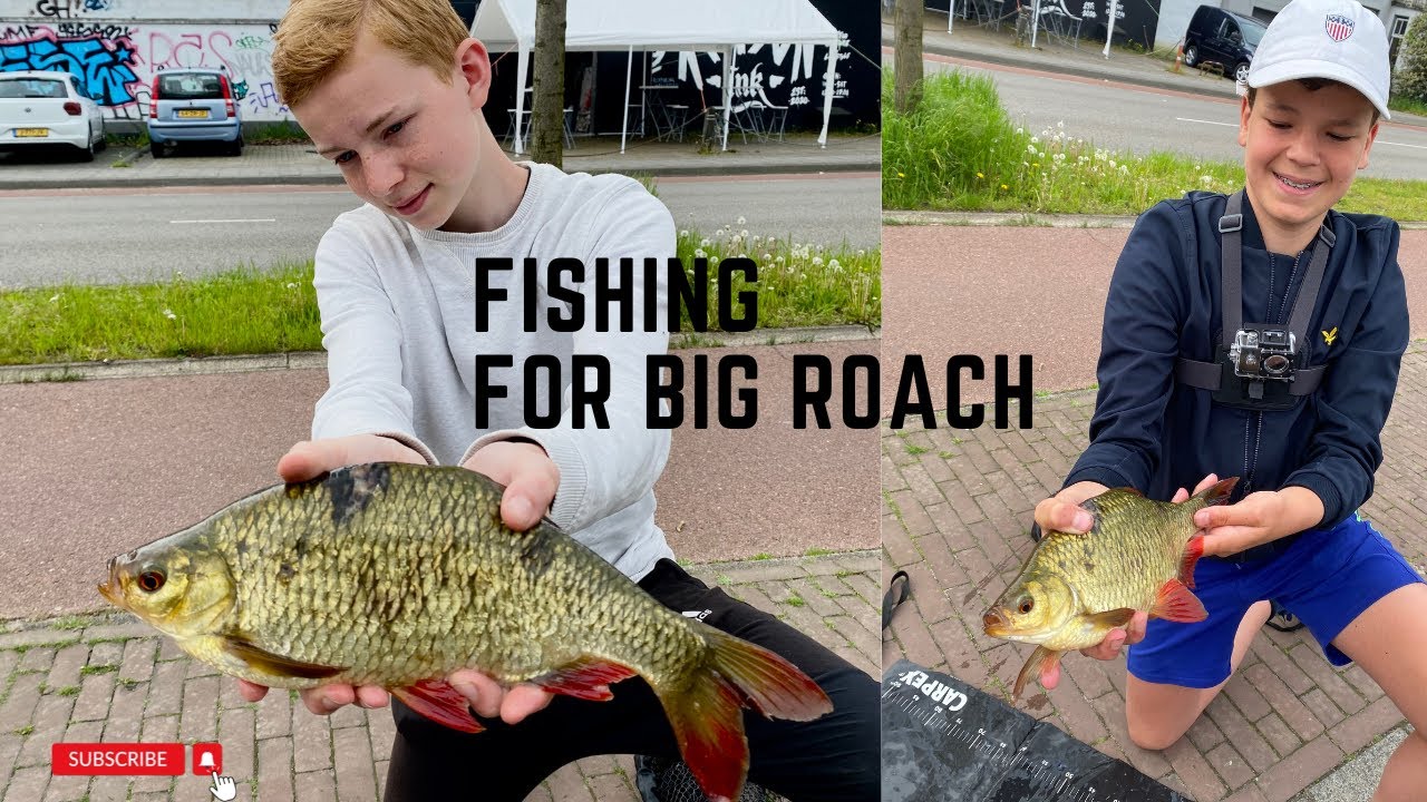 FISHING FOR BIG RUDD! #fishing #youtube #fish #video #fyp #vissen #nl # ...