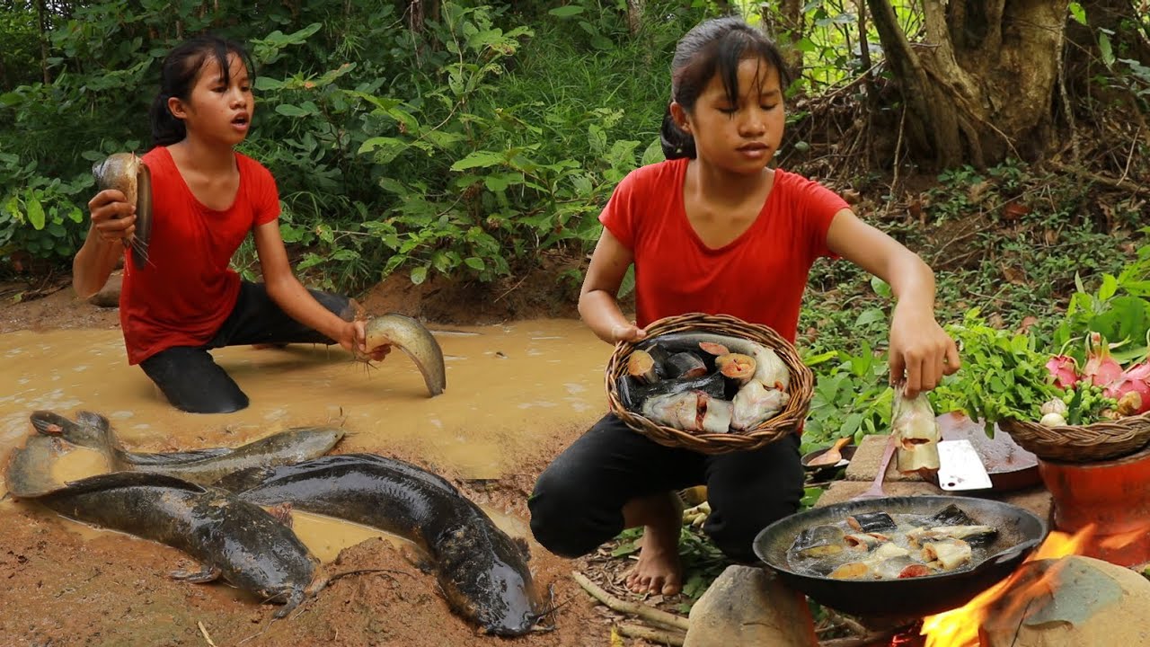 Catch fish in rainforest for food- Cooking fish with spice tasty ...