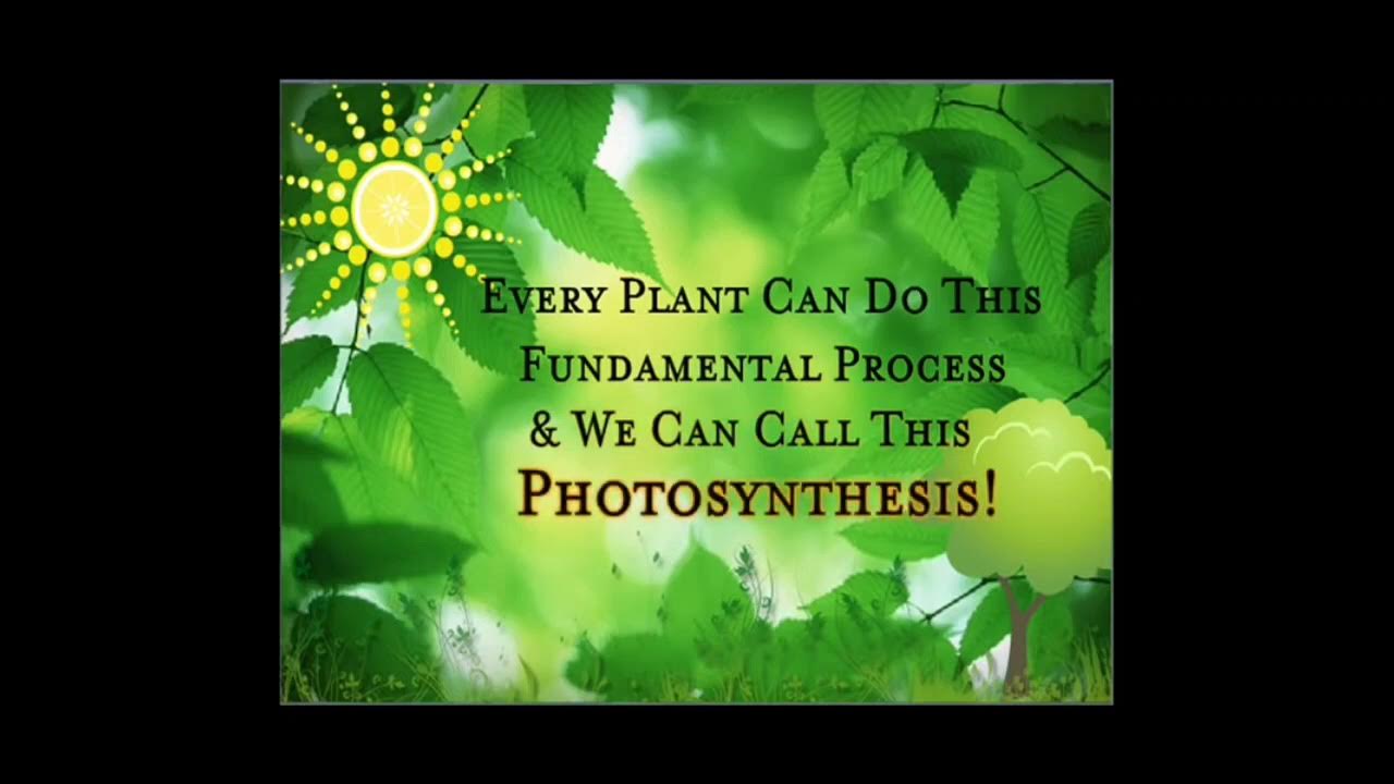 #photosynthesis song /science - YouTube