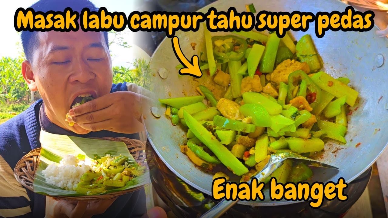 PETUALANGAN DI SAWAH | Masak Labu Tahu Pedas yang Menggugah Selera ...