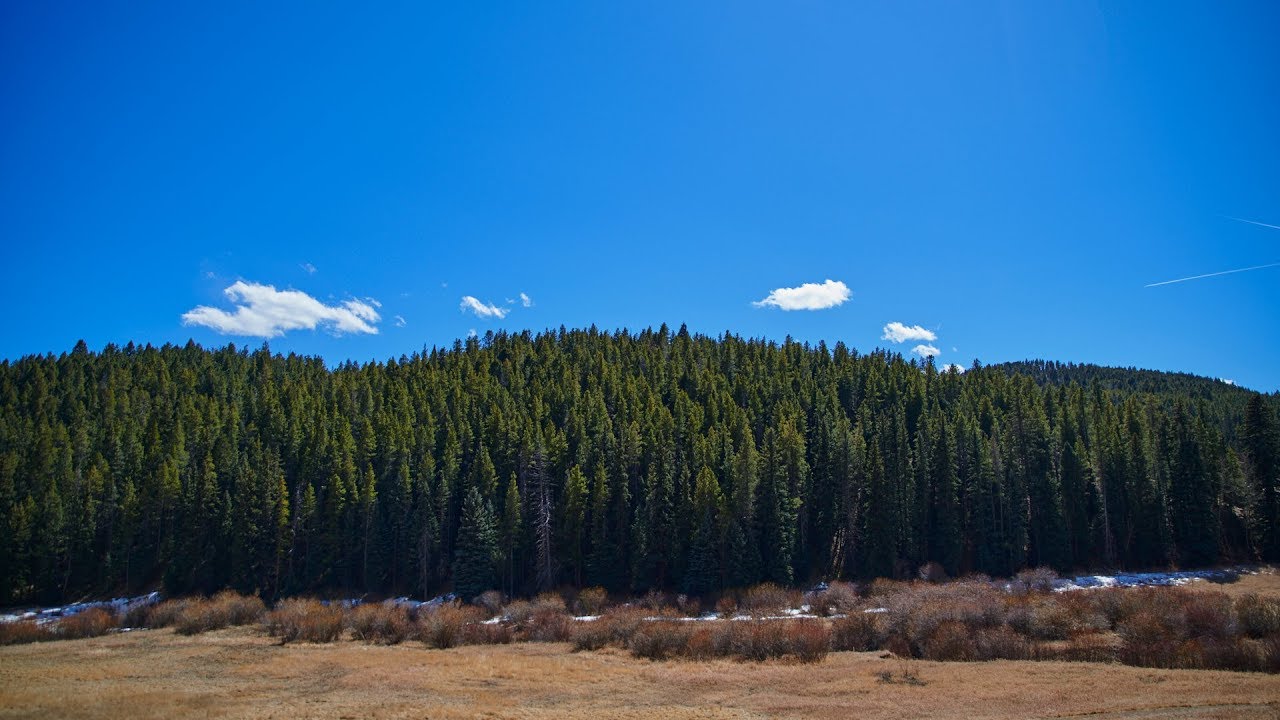 Silent Photography Mode Shooting Time-Lapse Photography - YouTube