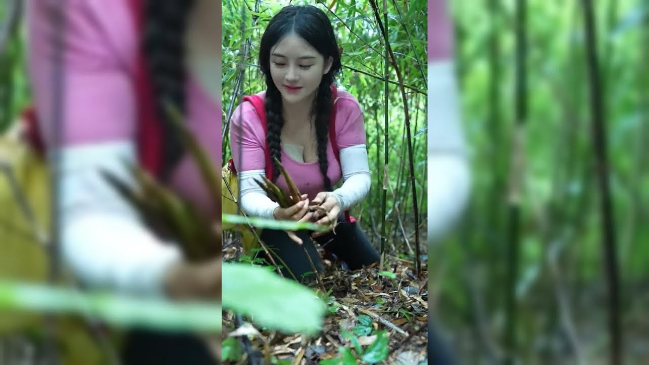 Life of a Mountain Girl | Dong Lao Tribe - Collecting bamboo shoots ...