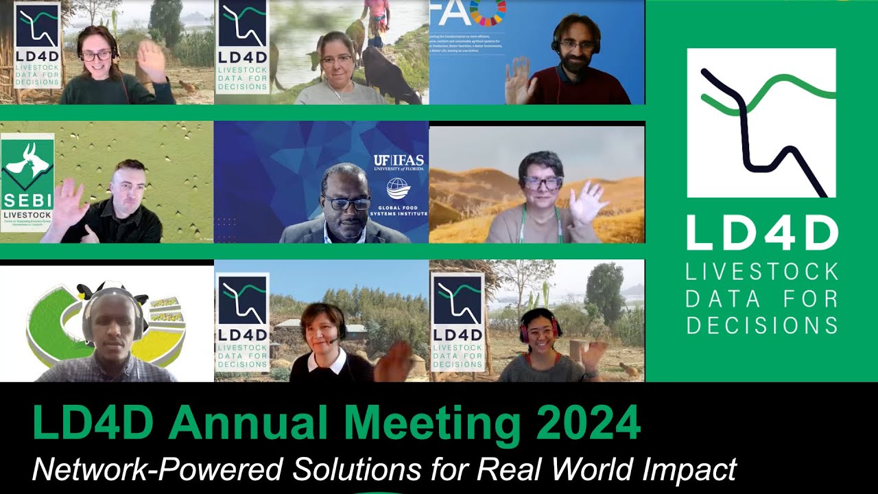 LD4D Annual Meeting 2024 - Network-powered solutions for real world ...