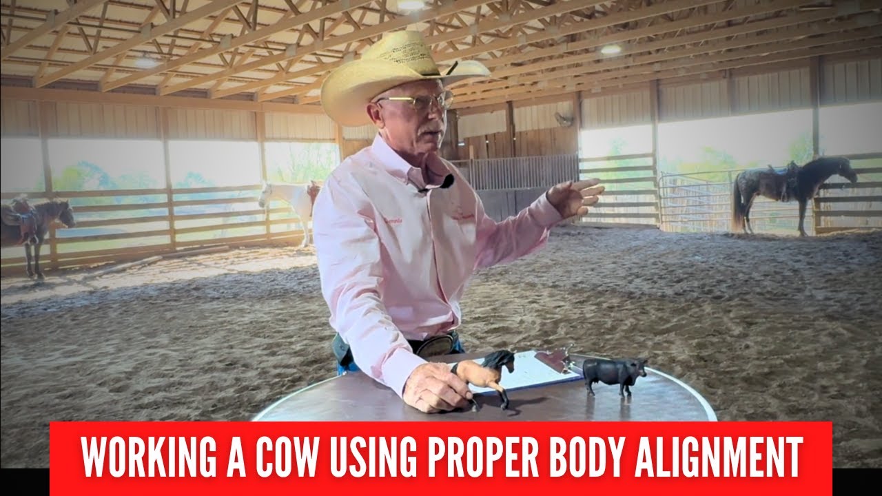 D/C Proper Body Position When Working a Cow | Cow Horse Training Clinic ...