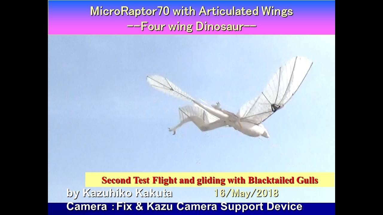 MicroRaptor70 with Articulated Wings-Four wing Dinosaur-- : 2nd Test ...
