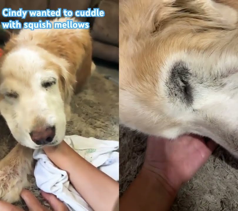 re-create Sandy, I had to - YouTube