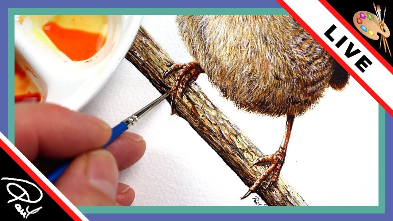 Watercolour Tutorial - Realistic Bird's Feet - Wren [Part 3] - YouTube