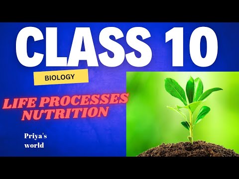 CLASS 10 BIOLOGY#CHAPTER 5 LIFE PROCESSES#NUTRITION Clear explanation ...