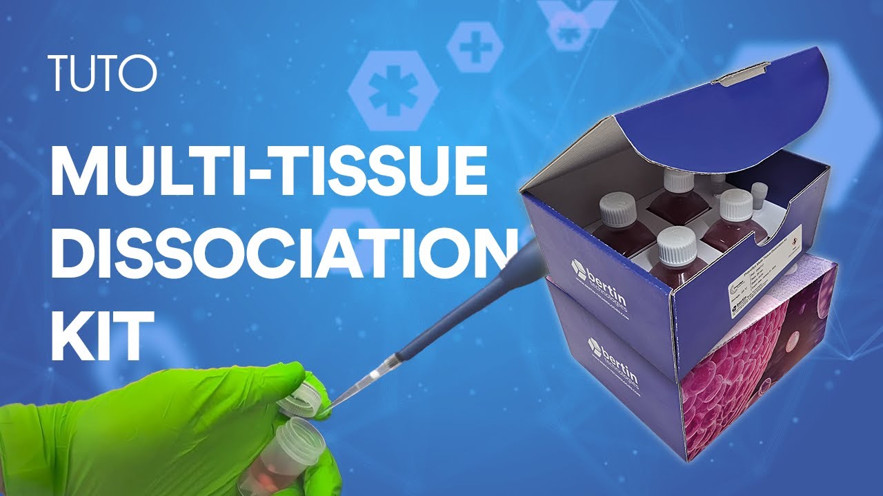 [TUTORIAL] How to Use the Precellys Multi-Tissue Dissociation Kit ...