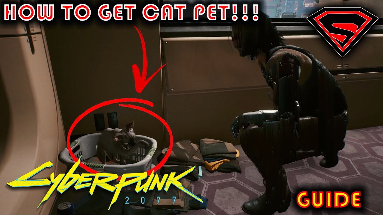 CYBERPUNK 2077 HOW TO GET A PET CAT!!! - YouTube