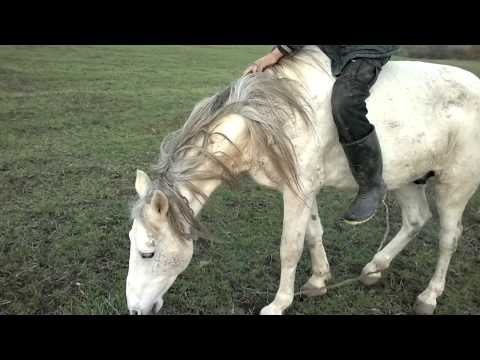 Emin feat.Dashqin made by Shahriyar-2012 ismayilli,Pirəbilqasim kəndi