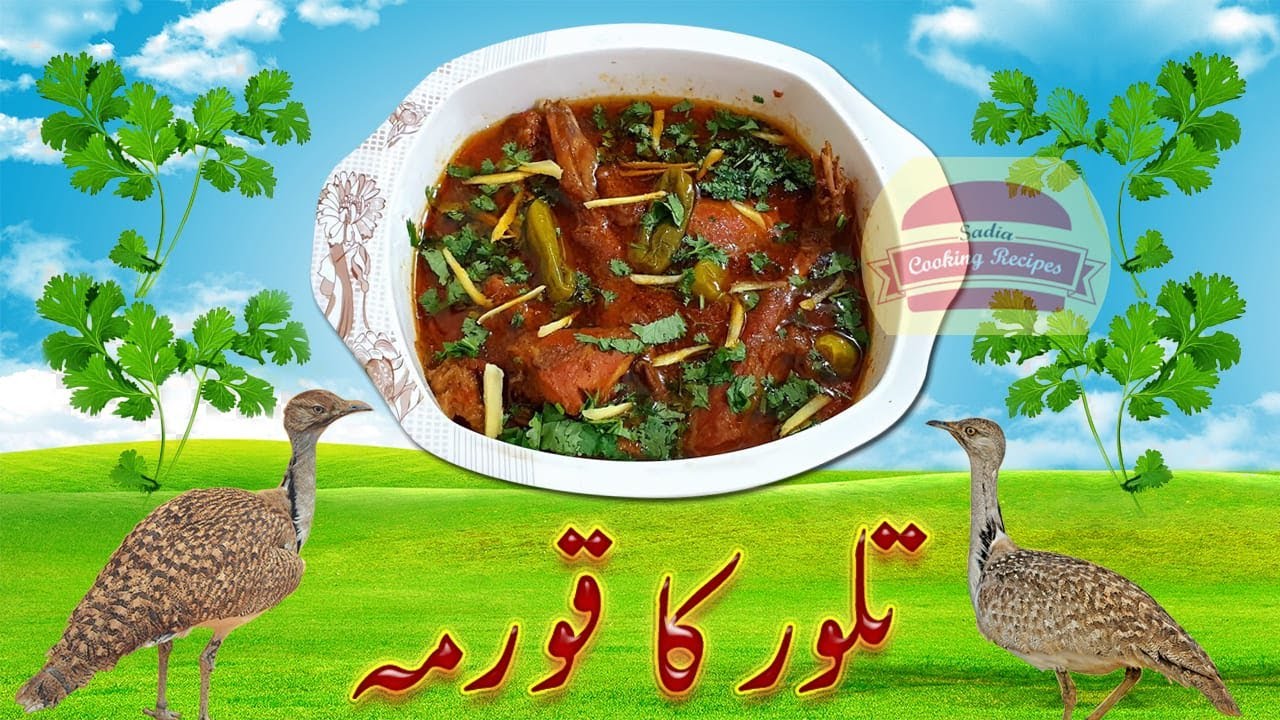 Taloor ka Korma / How To Cook Taloor / ( Houbara Bustard ) - YouTube