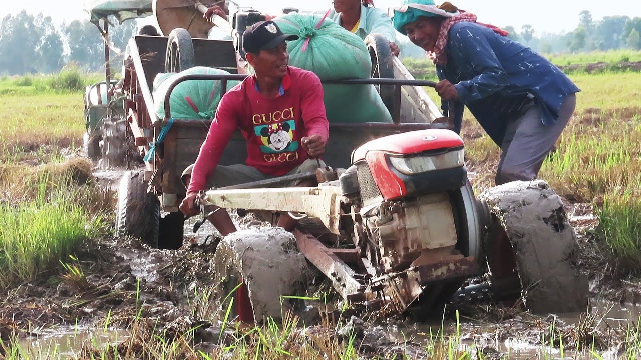 Wonderful Small Tractors Heavy Transport Rice, Best Power Tractors ...