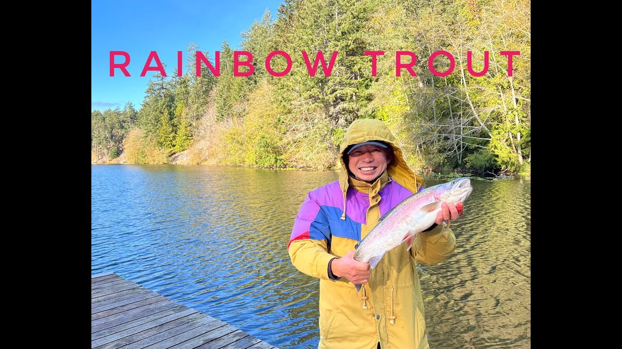 82, Fishing Rainbow Trout in Pender Island / Grilled Trout with Lemon ...