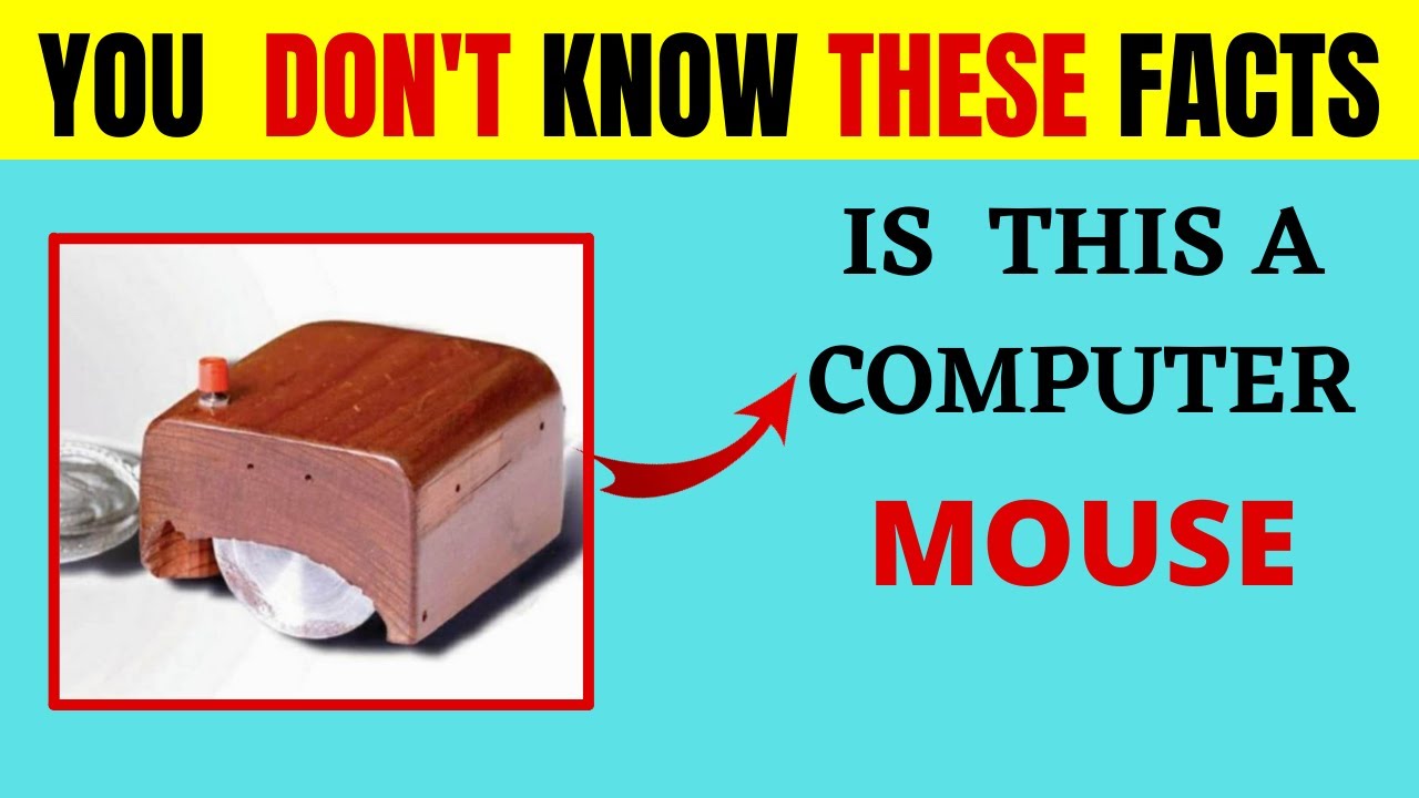 Facts about computer in hindi | Computer facts in hindi | Computer ...