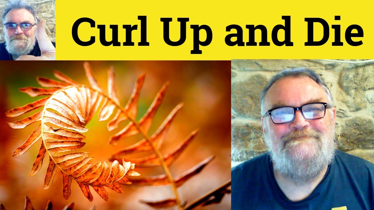 😎 Curl Up and Die Meaning - Curl Up and Die Defined - Curl Up and Die ...