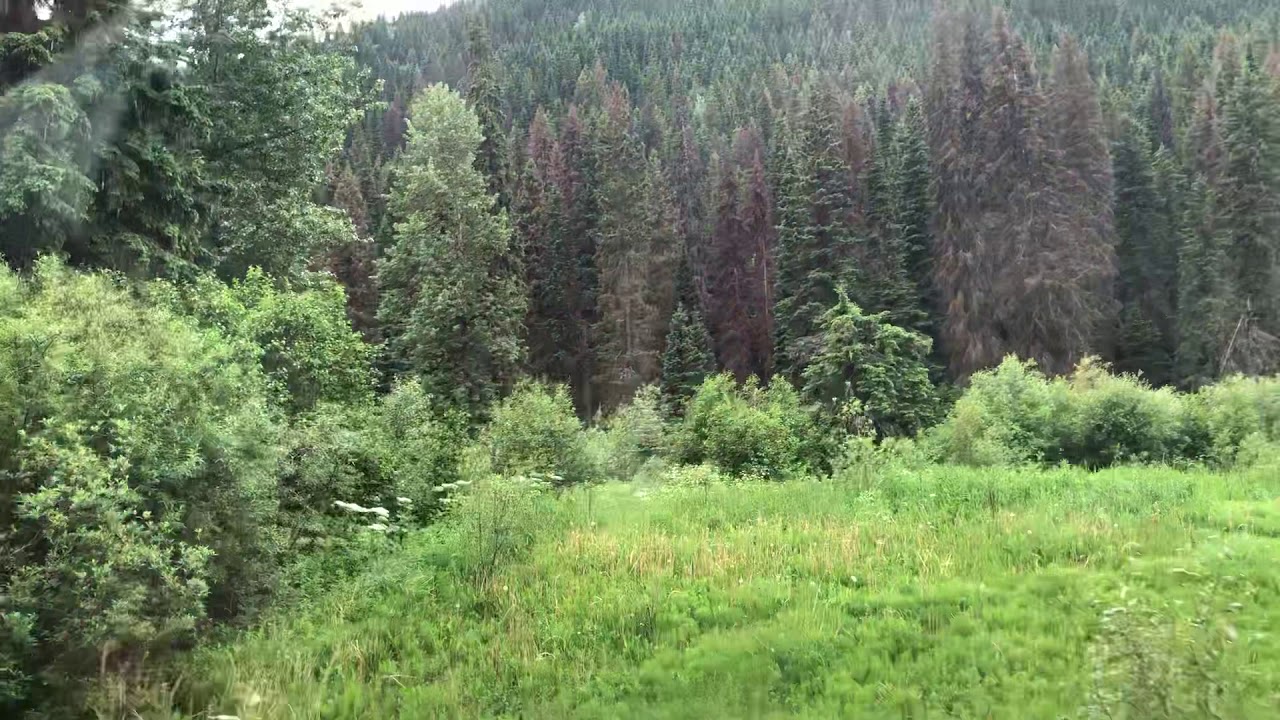 Wonowon trip Canada - YouTube