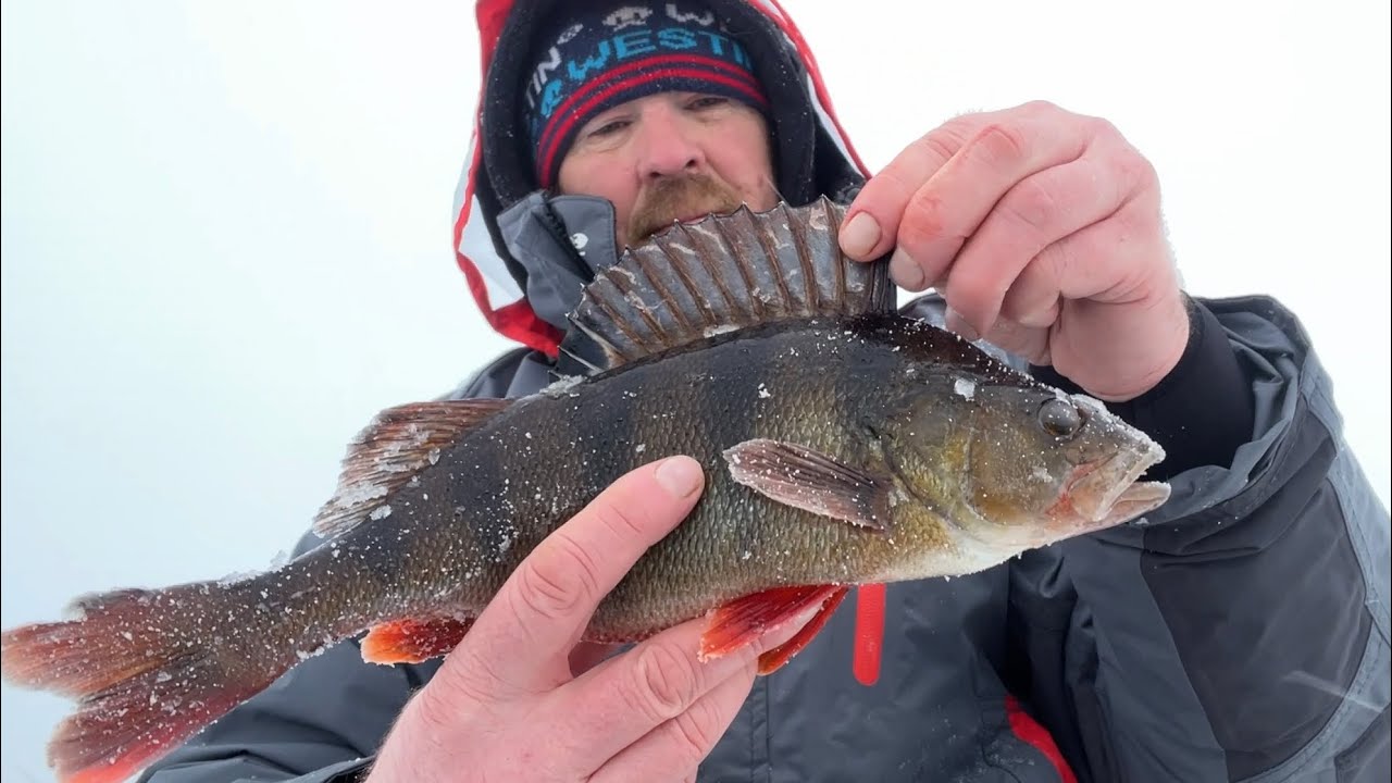 DEAF-ice fishing # 143. - YouTube