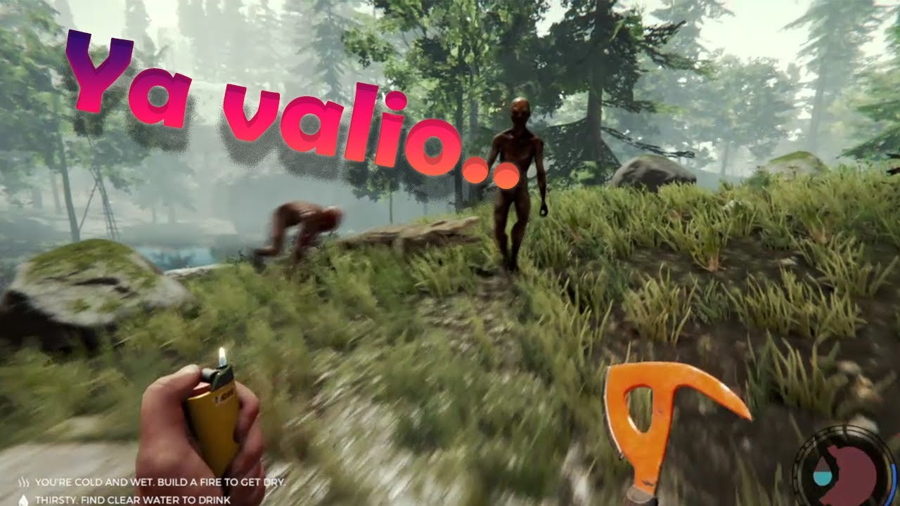 CAOS TOTAL - YouTube