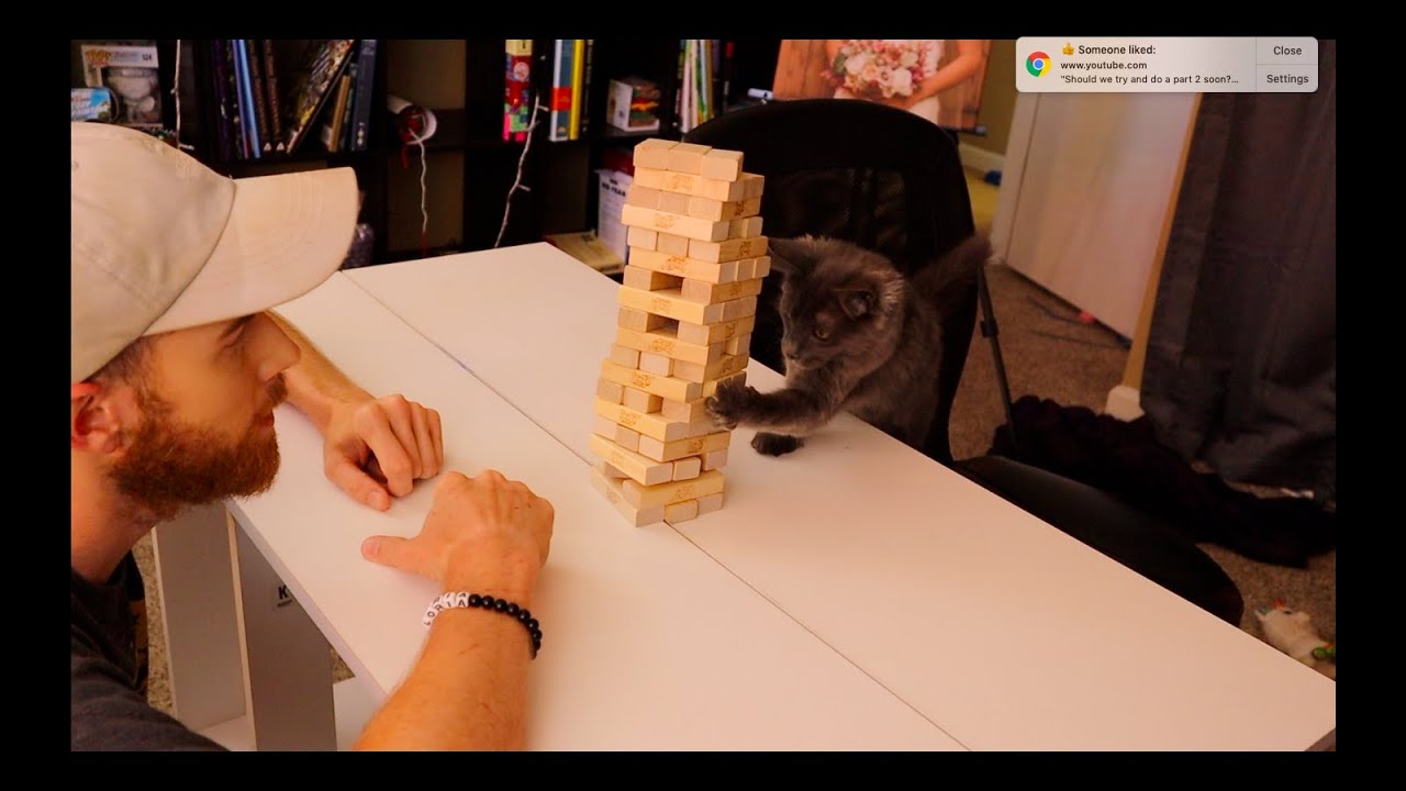 GAME NIGHT WITH MY CAT! - YouTube