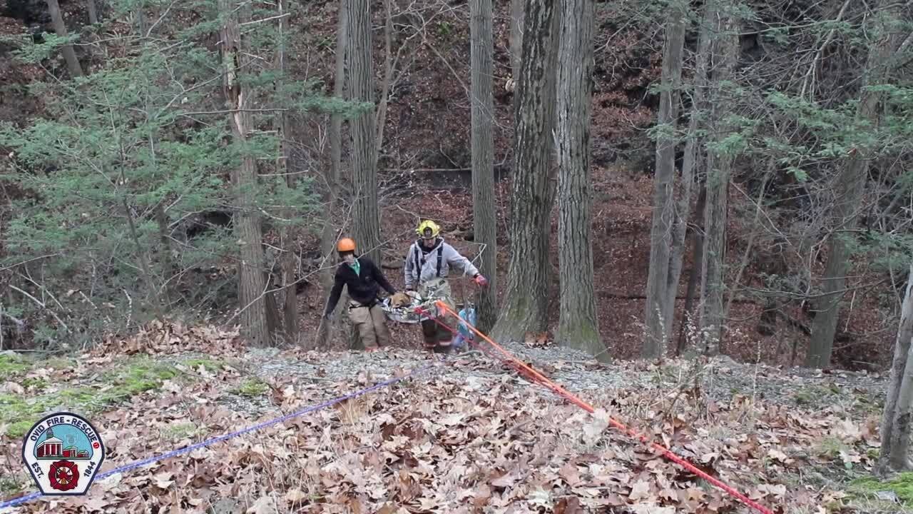 WATCH: Fire crews rescue dog that slipped and fell hundreds of feet ...