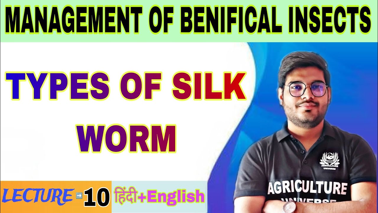 types of silk worm || management of beneficial insects || bsc ag 5th ...