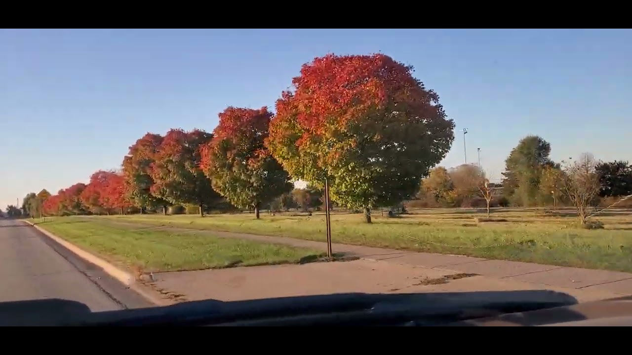 Fall In The Midwest Short Video 3 - #fall, #nature, #naturelovers, # ...
