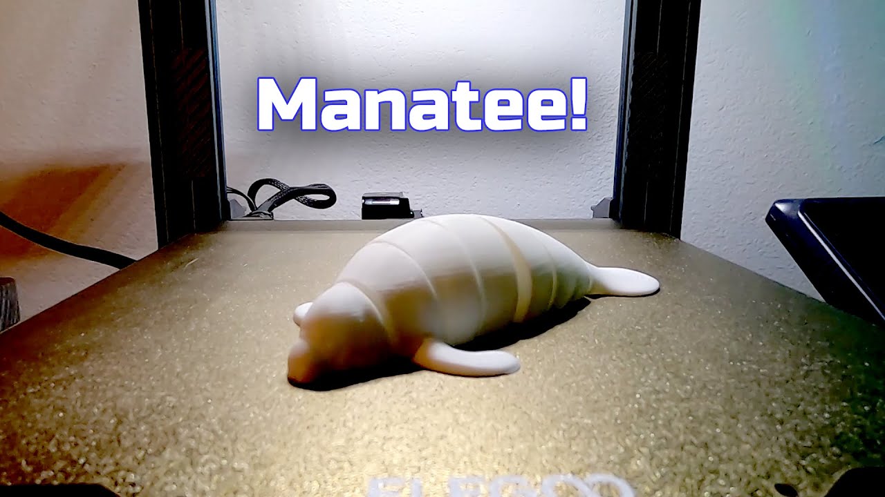 Manatee - 3D Print Timelapse - YouTube
