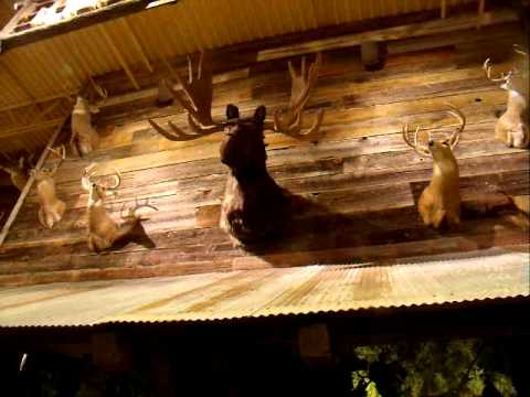 bass pro shop shooting gallery - YouTube