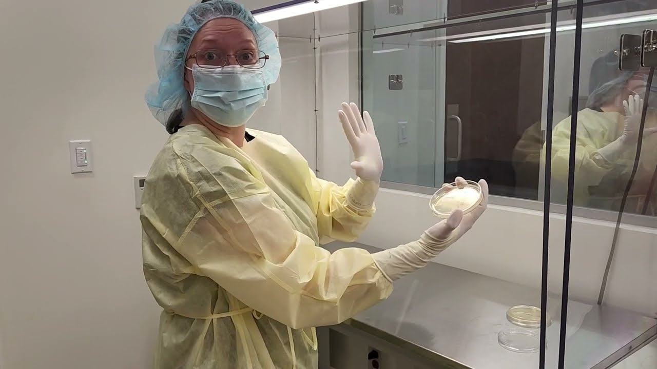 Glove Fingertip Sampling Pharmacy Compounding Lab Video High Point ...