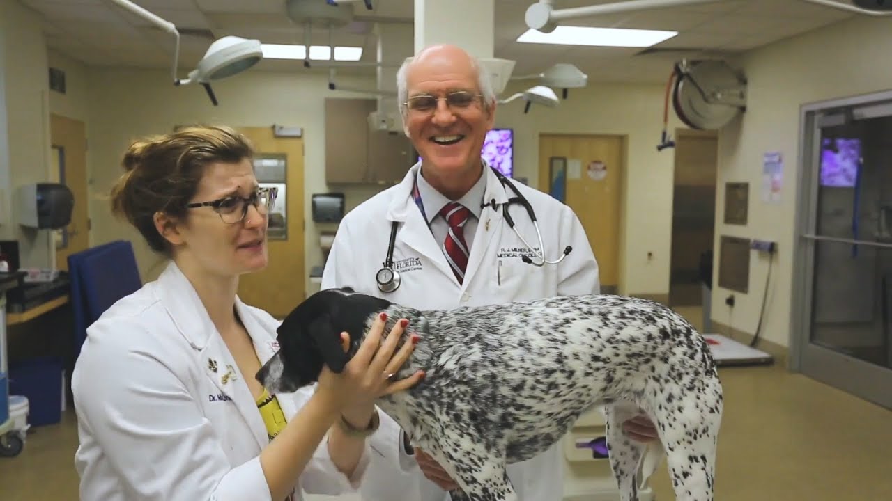 Comparative Medicine at the University of Florida College of Veterinary ...