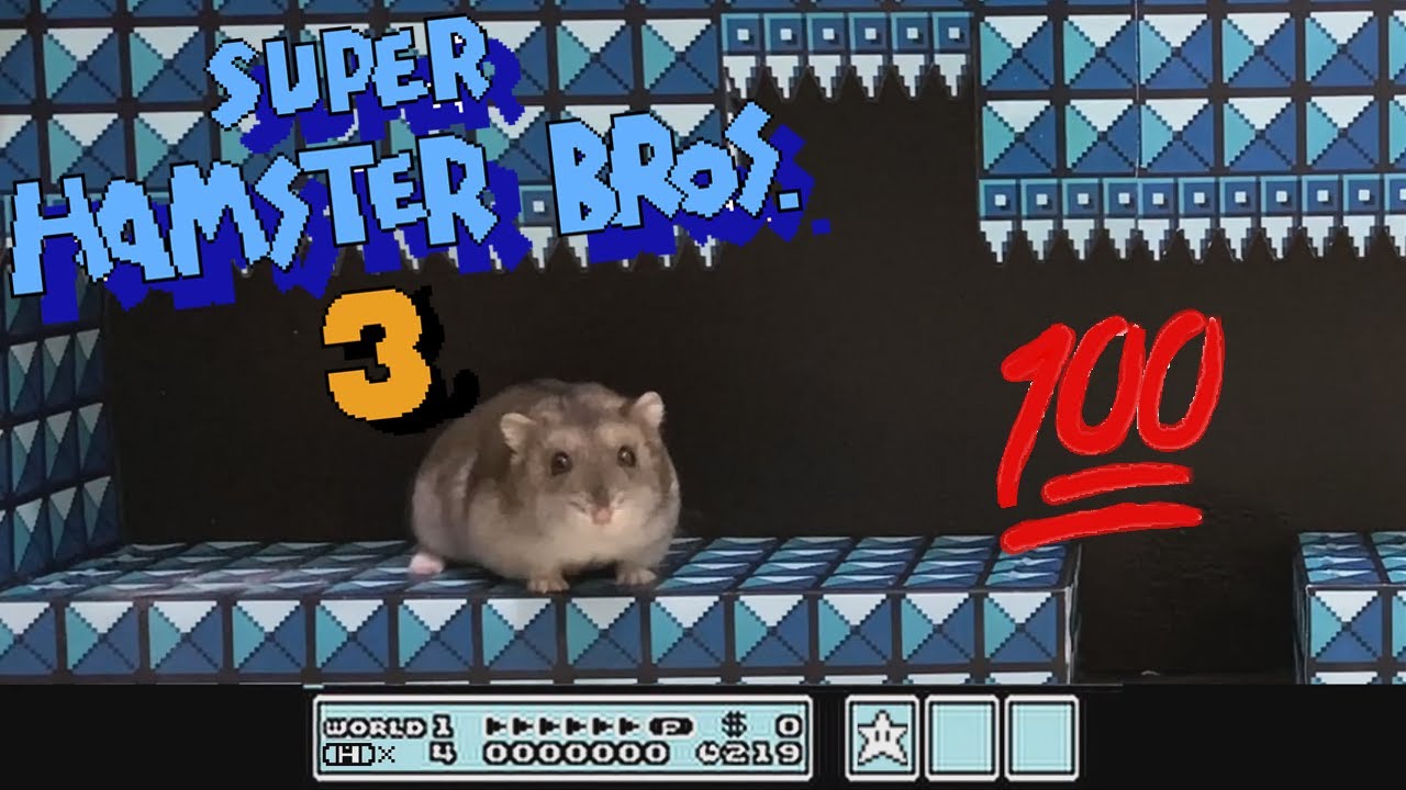 Hamster in Super Mario Bros 3: 100% replica of World 1 Fortress Level ...