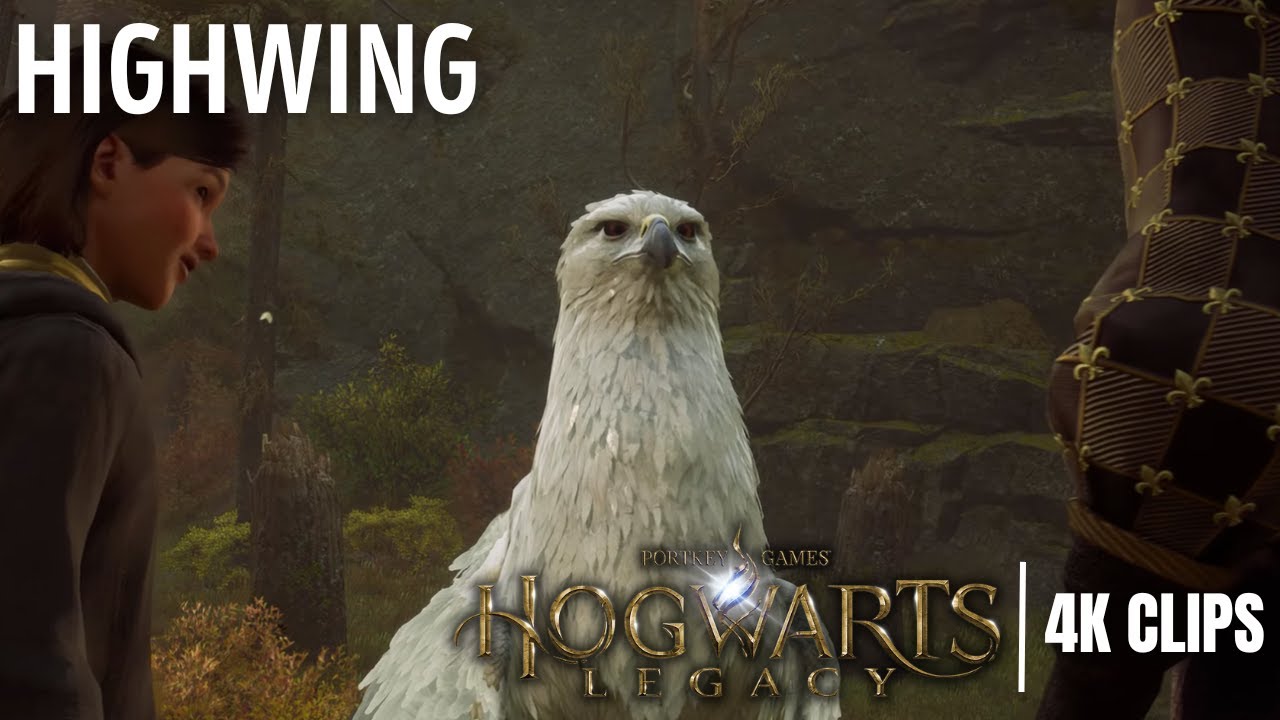Poppy Introduces Nigel Planter To Highwing Hogwarts Legacy 4K Clips YouTube poppy-introduces-nigel-planter-to-highwing-hogwarts-legacy-4k-clips-youtube