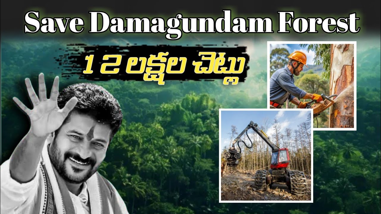 Damagundam Reserve Forest| 12 Lakh Trees in Danger | Navy's VLF Station ...