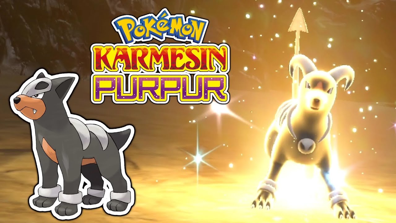 Hunduster und Hundemon Fundort + Entwicklung | Pokemon Karmesin und ...