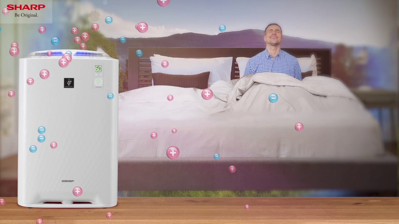 SHARP AIR PURIFIER - YouTube