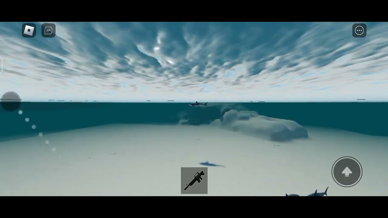 signal shark AKA lonely shark - YouTube