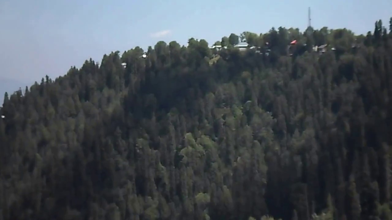 Ayubia National Park (pine trees) - YouTube