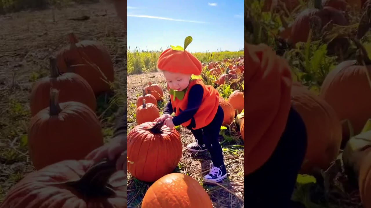 Do Jewish Families Celebrate Halloween?! - YouTube