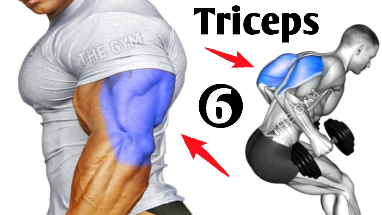 6 Magic Exercises to Big Triceps Fast - YouTube