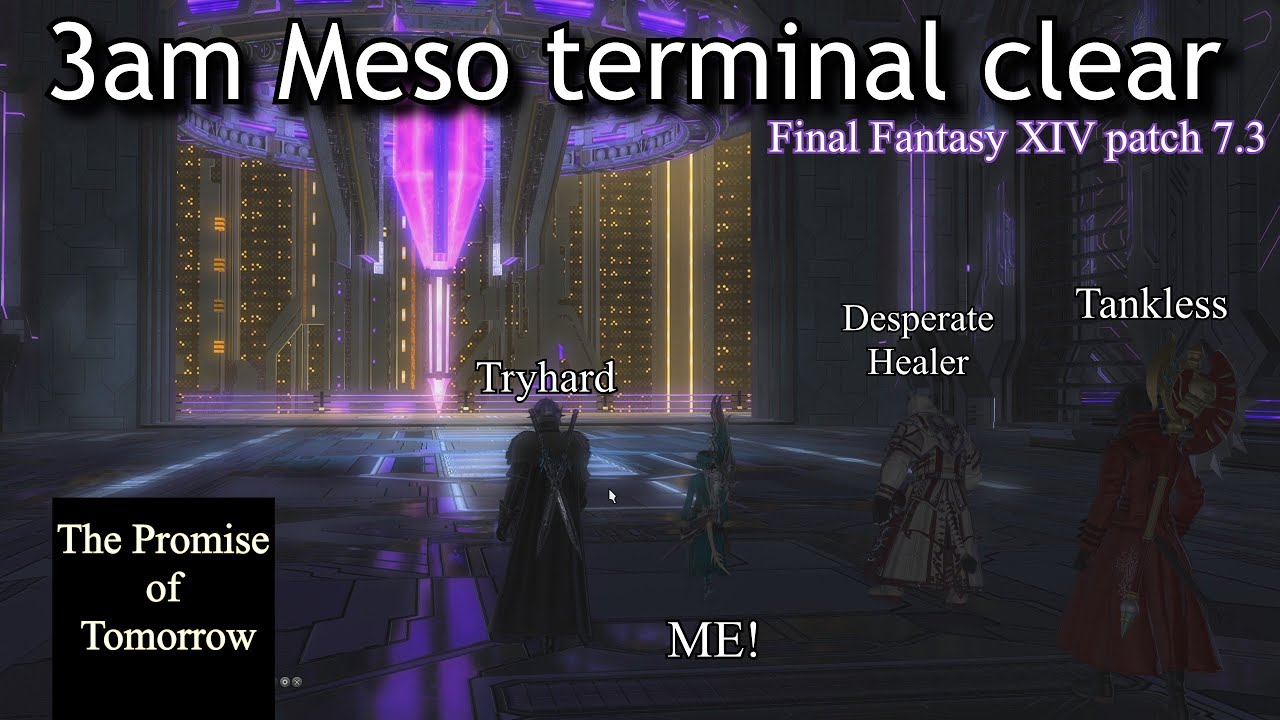 Deleting Endless in The Meso Terminal Dungeon (Spoilers for FFXIV 7.3 ...