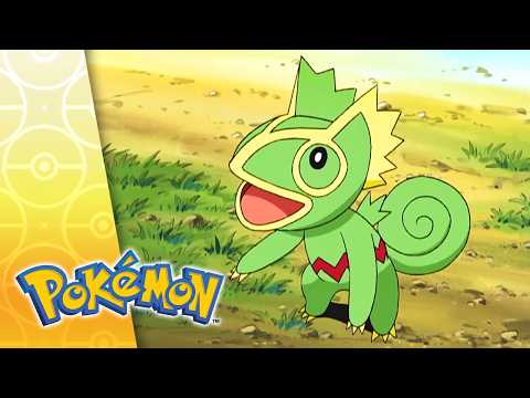 From Cradle to Save! | POKÉMON FULL EPISODE 11 | Season 9